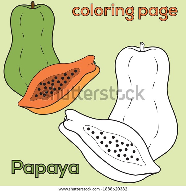 Papaya Coloring Page Kids Papaya Vector Stock Vector (Royalty Free ...