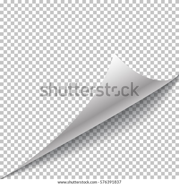Paper Page Curl Shadow Isolated On Stock Vector (Royalty Free) 576391837