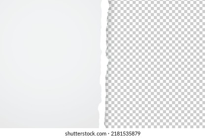 Paper Torn Paper Ripped Realistic Shadow Stock Vector (Royalty Free ...