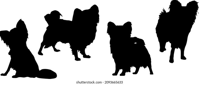 1,763 Papillon vector Images, Stock Photos & Vectors | Shutterstock