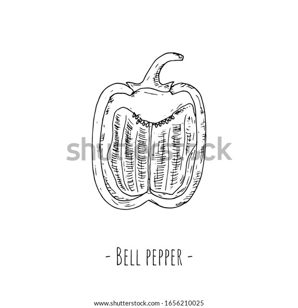 Vektor Stok Paprika Slice Vector Cartoon Illustration Isolated (Tanpa ...
