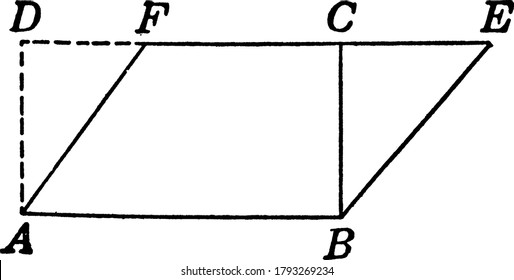 Parallelogram Rectangle Quadrilateral Rectangle Considered Special ...