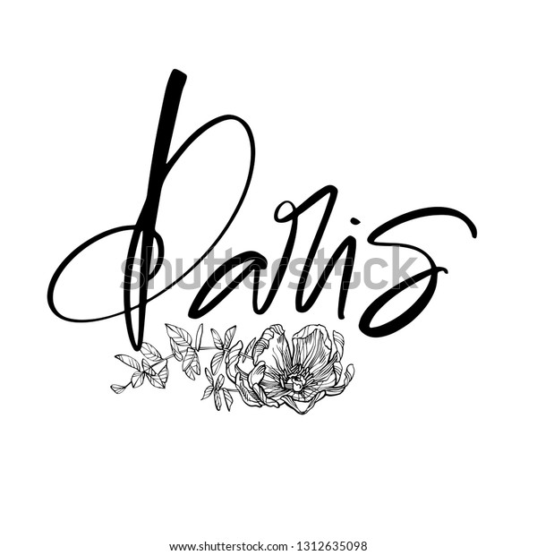 Paris Calligraphy Incription Modern Brush Calligraphy Stock Vector ...