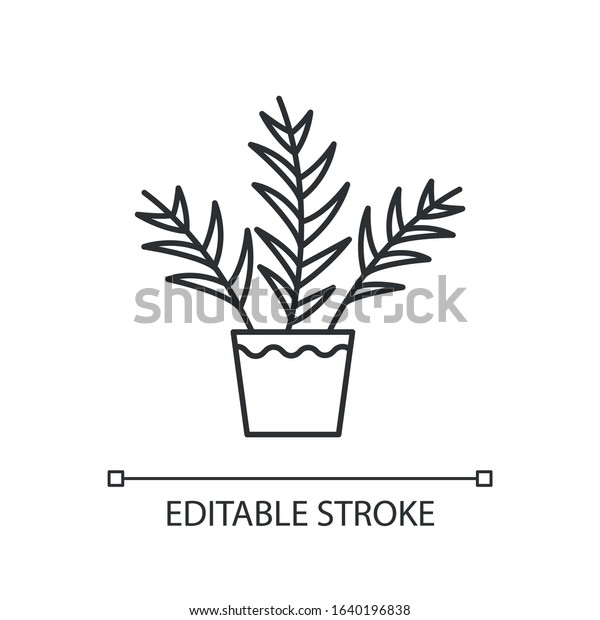 Parlor Palm Pixel Perfect Linear Icon Stock Vector (Royalty Free ...