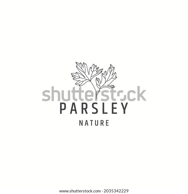 Parsley Leaf Logo Icon Design Template Stock Vector (Royalty Free ...