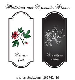 Passion Flower Vector Art Stock Vector (Royalty Free) 288942416 ...