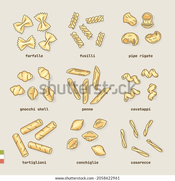 Pasta Types Names Different Kinds Pasta Stock Vector (Royalty Free ...