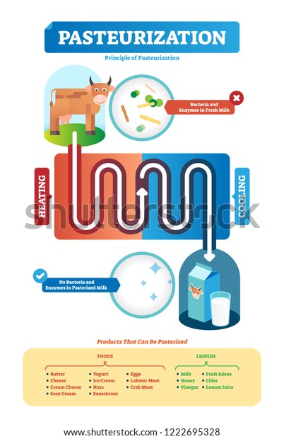 Pasteurization Vector Illustration Full Process Products Stock Vector ...