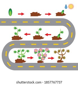 45 Recycled garden path Stock Vectors, Images & Vector Art | Shutterstock