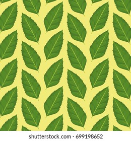 Pattern Color Set Decorative Green Leaves Stock Vector (Royalty Free ...