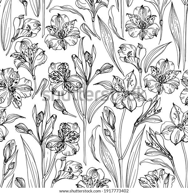Pattern Flowers Vector Line Drawing Alstroemeria 库存矢量图（免版税）1917773402 ...