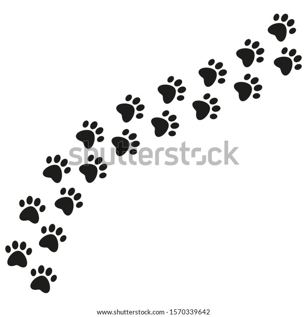 Paw Print Trail Isolated On White Stock Vector (Royalty Free ...