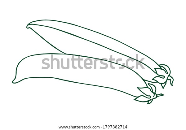Pea Pods Vector Outline Style Natural Stock Vector (Royalty Free ...