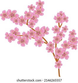 Peach Blossom Vector Illustration Tree Branches Stock Vector (Royalty ...