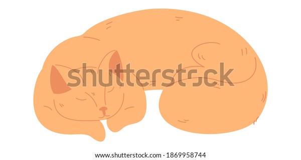 Peach Cat Sleeping Isolated On White Stock Vector (Royalty Free ...