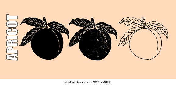 9,258 Peach line drawing Images, Stock Photos & Vectors | Shutterstock