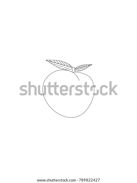 Peach Line Drawing Stock Vector (Royalty Free) 789822427 | Shutterstock