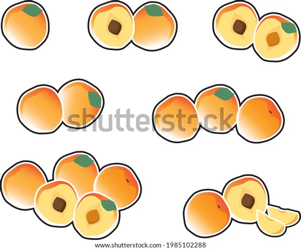 Peaches Vector Illustration Both Whole Sliced Stock Vector (Royalty ...