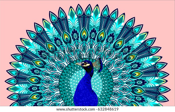 Peacock Beautiful Fantail Open Stock Vector (Royalty Free) 632848619 ...