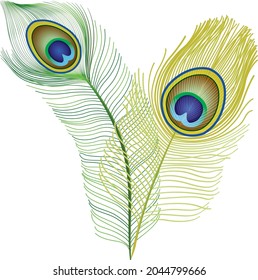 14 Mayur Pankh Images, Stock Photos & Vectors | Shutterstock