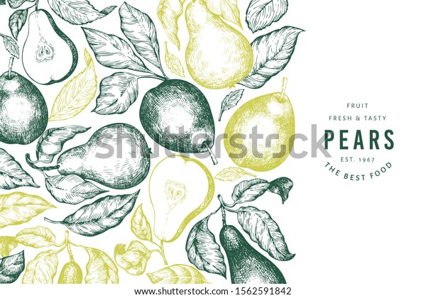 Pear Design Template Hand Drawn Vector Stock Vector (Royalty Free ...
