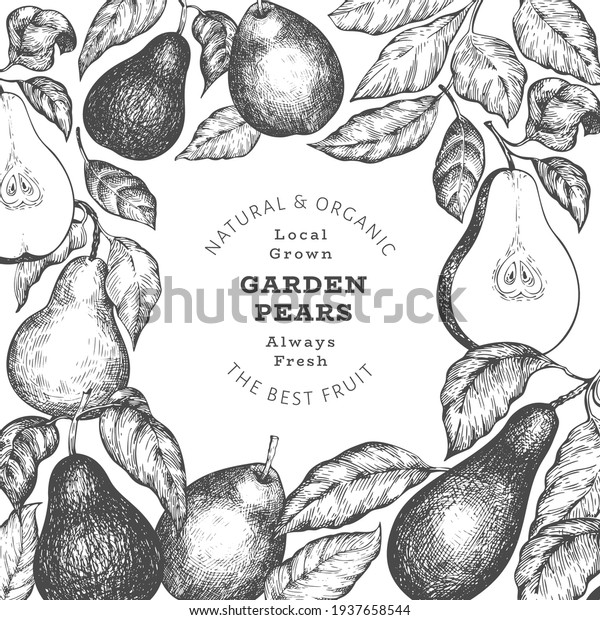 Pear Design Template Hand Drawn Vector Stock Vector (Royalty Free ...