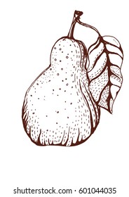 Pear Ink Drawing Stock Vector (Royalty Free) 601044035 | Shutterstock