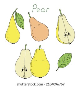 Pear Set Vector Illustration Hand Drawing Stock Vector (Royalty Free ...