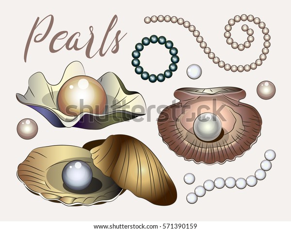 Pearls Vector Set Stock Vector (Royalty Free) 571390159 | Shutterstock