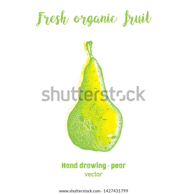 Pears Illustration Pen Drawing Hand Drawing Stock Vector (Royalty Free ...