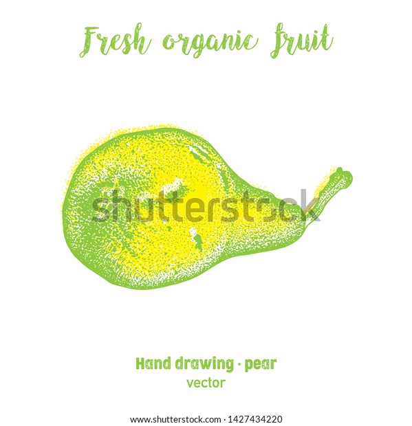 Pears Illustration Pen Drawing Hand Drawing 스톡 벡터(로열티 프리) 1427434220 ...