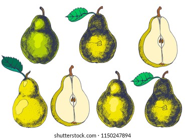 Pears Set Hand Drawing Color Vector Stock Vector (Royalty Free ...