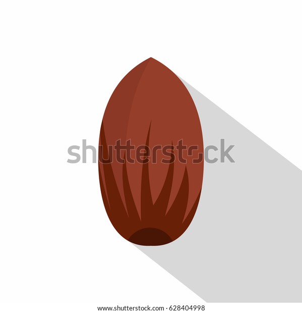 Pecan Nut Icon Flat Illustration Pecan Stock Vector (Royalty Free ...