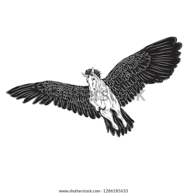 Pegasus Line Art Vector Illustration Stock Vector (Royalty Free ...