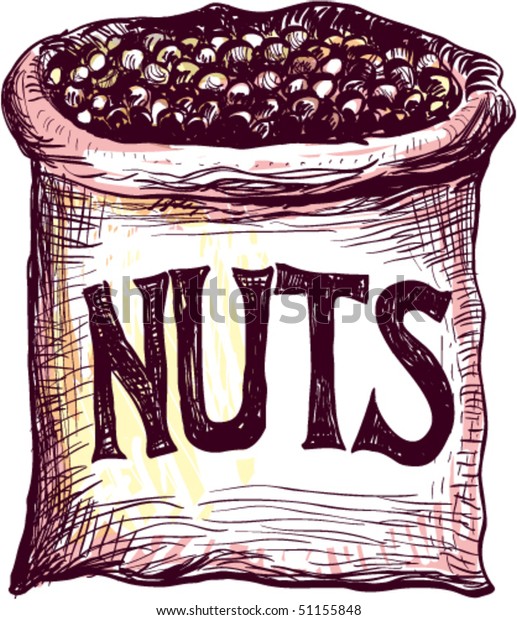 Pen Drawing Depicting Nuts Bag Stock Vector (Royalty Free) 51155848