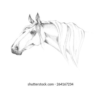 44 Fading Horse Stock Vectors, Images & Vector Art | Shutterstock