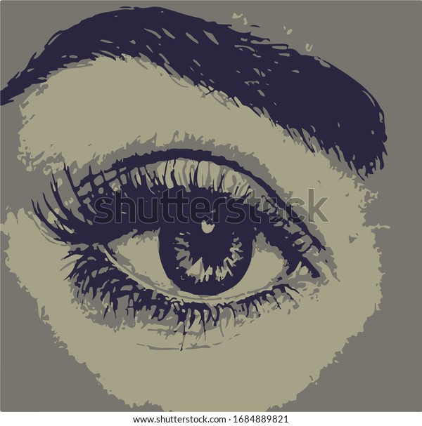 Pencil Drawn Eye Traced Illustrator Vector Stock Vector (Royalty Free ...
