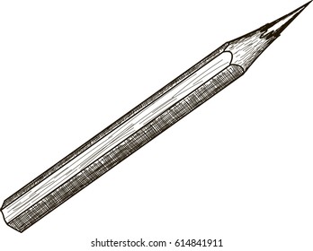 Pencil Vector Sketch Drawing Stock Vector (Royalty Free) 614841911 ...