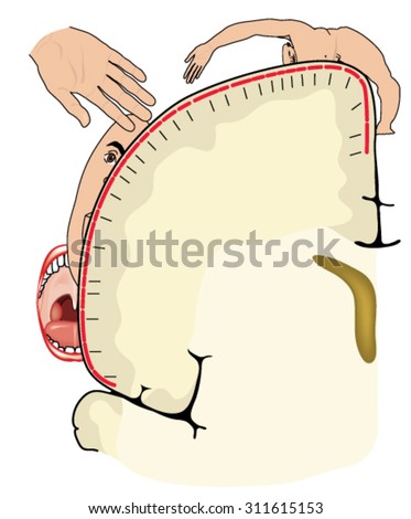 Penfield Cortical Body Map Cortical Homunculus Stock-Vektorgrafik ...