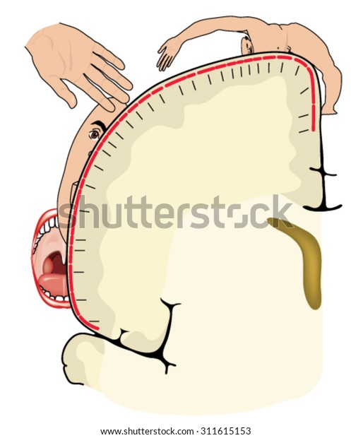 Penfield Cortical Body Map Cortical Homunculus Stock Vector (Royalty ...