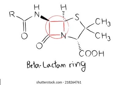 Penicillin Chemical Structure Show Beta Lactam Stock Vector (Royalty ...
