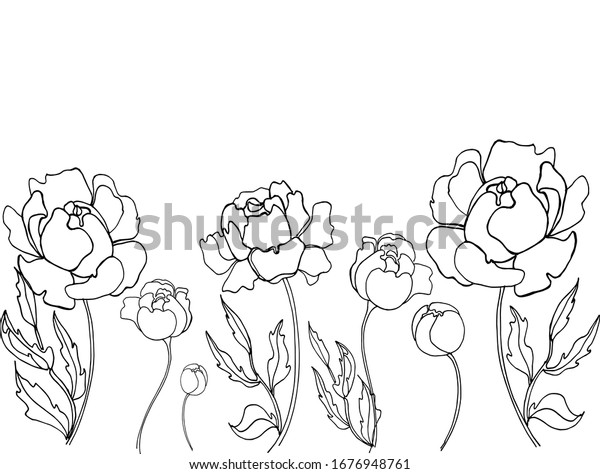 Peonies Flower Hand Drawing Line Art Stock Vector (Royalty Free ...
