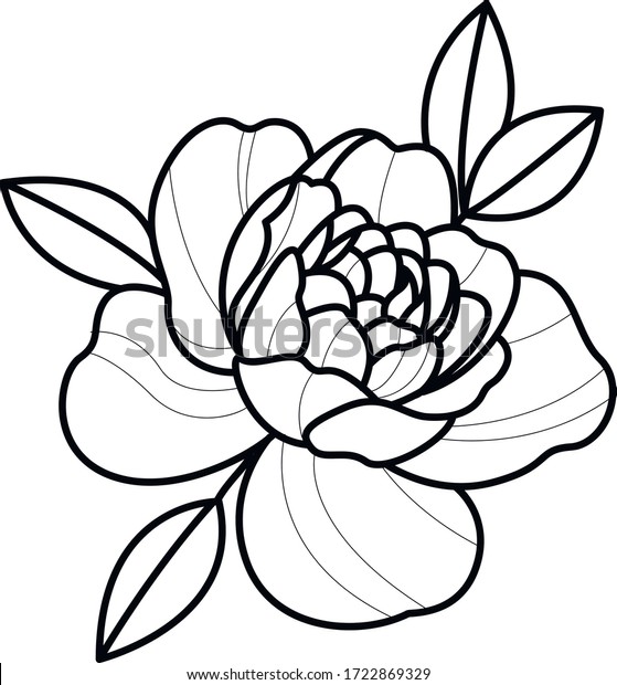 Peony Line Work Flower Art Tattoo Stock Vector (Royalty Free ...