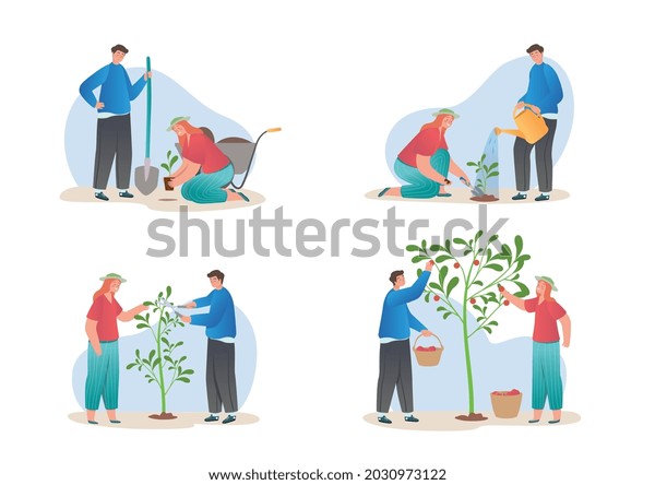 People Grow Tree Set Stages Plant Stock Vector (Royalty Free ...