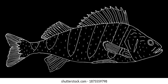 377 Freshwater perch outline Images, Stock Photos & Vectors | Shutterstock