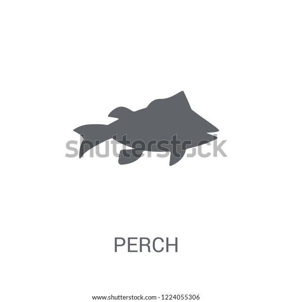 Perch Icon Trendy Perch Logo Concept Stock Vector (Royalty Free ...
