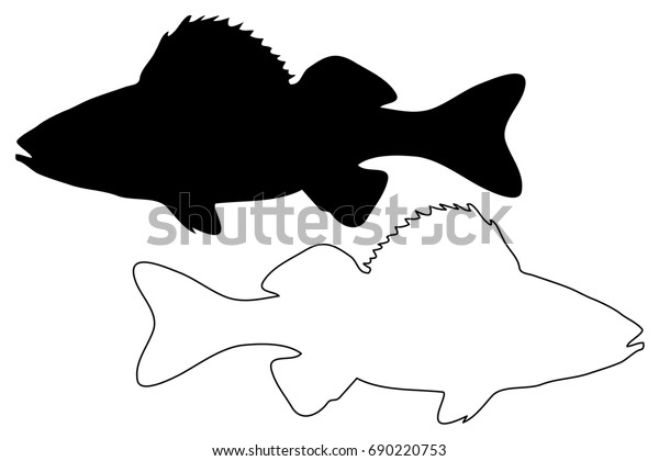 Perch Silhouette Vector Perca Fluviatilis Stock Vector (Royalty Free ...