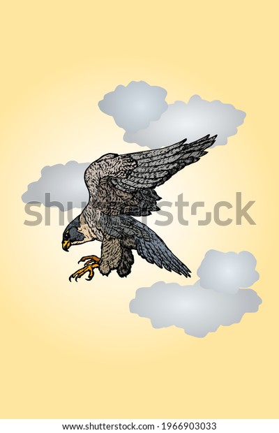 Peregrine Falcon Attacking Open Claws Sky Stock Vector (Royalty Free ...