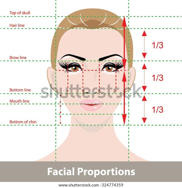 Perfect Face Proportions Stock Vector (Royalty Free) 324774359 ...