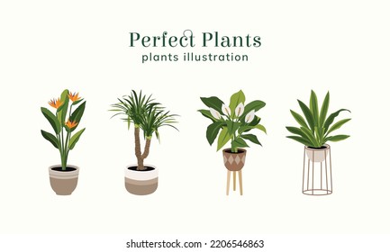 Perfect Plants Illustration Vector Set Stock Vector (Royalty Free ...